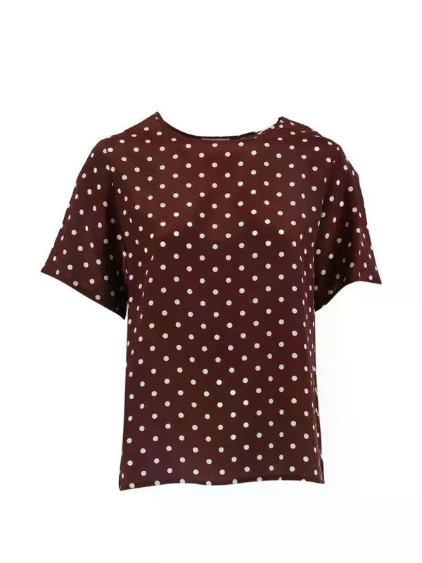 P.a.r.o.s.h Polka Dot Blouse - Brown