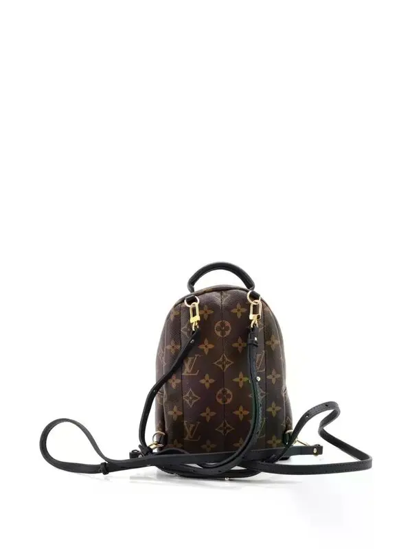 LOUIS VUITTON Palm Springs Monogram Canvas Mini Backpack