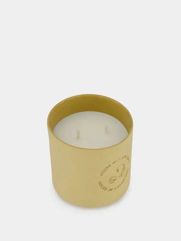 HOUSE OF CAPRICORN Aurora Handmade Scented Candle