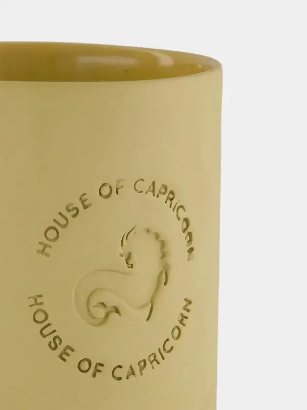 HOUSE OF CAPRICORN Aurora Handmade Scented Candle