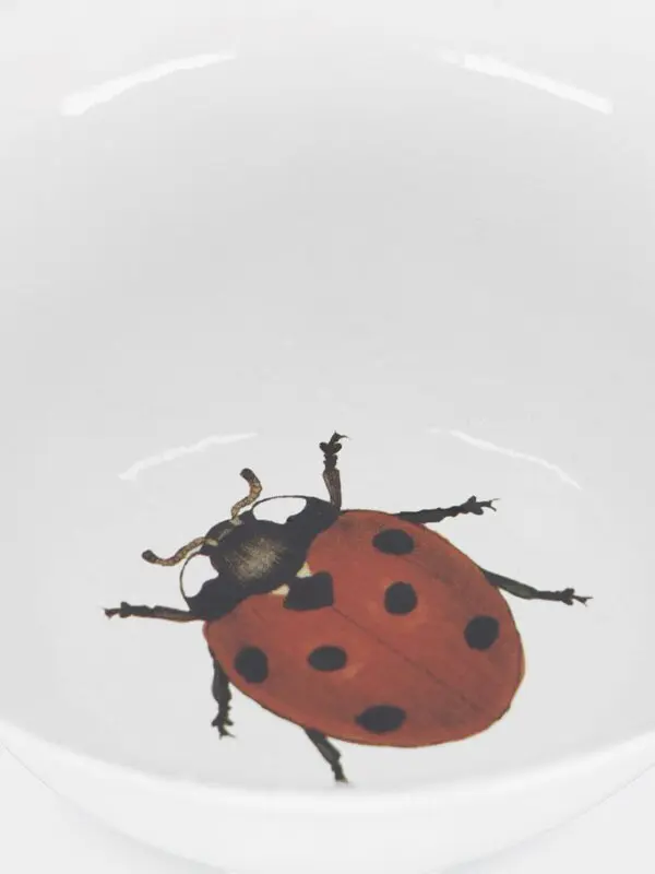 ASTIER DE VILLATTE Ladybug Soup Plate
