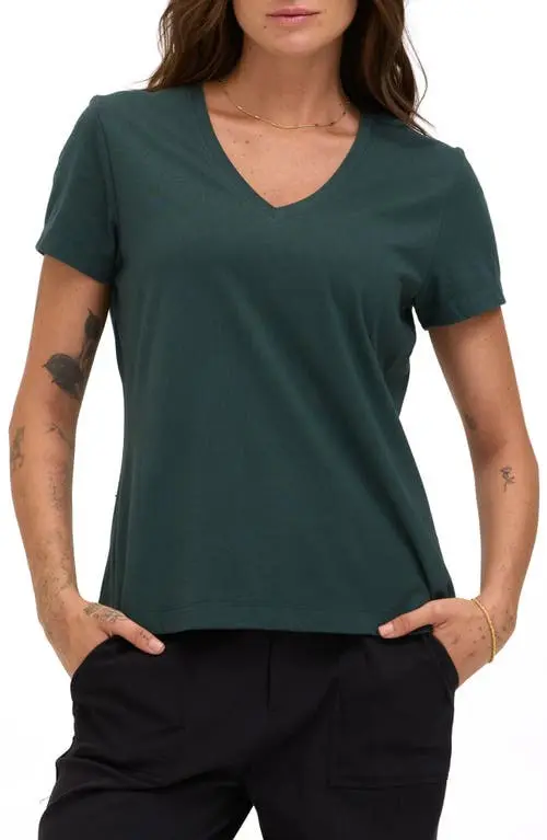 THREADS 4 THOUGHT Aria Essential Organic Cotton T-shirt - Alpine