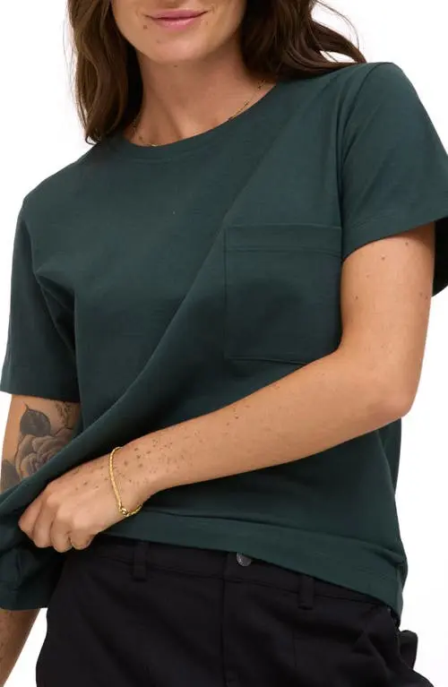 THREADS 4 THOUGHT Organic Cotton V-neck T-shirt - Alpine