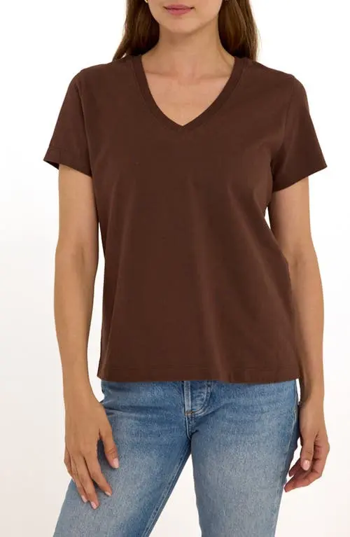 THREADS 4 THOUGHT Organic Cotton V-neck T-shirt - Coffee