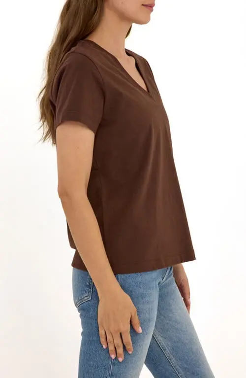 THREADS 4 THOUGHT Organic Cotton V-neck T-shirt - Coffee