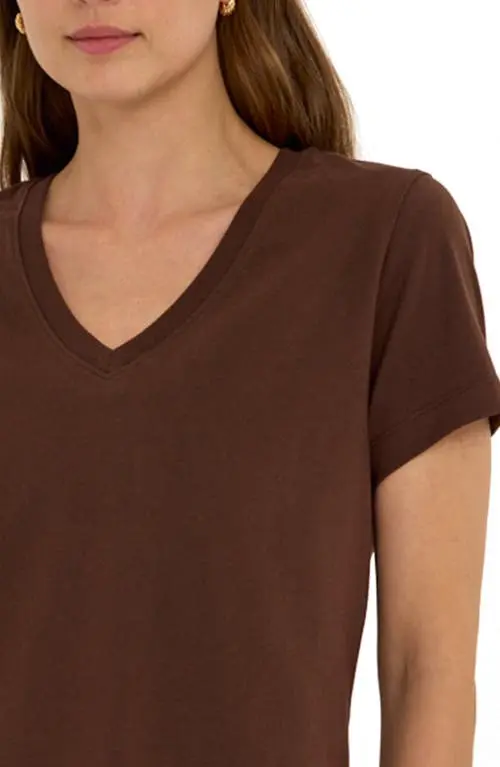 THREADS 4 THOUGHT Organic Cotton V-neck T-shirt - Coffee
