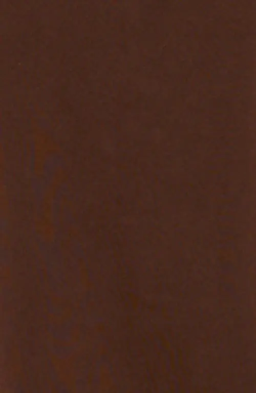 THREADS 4 THOUGHT Organic Cotton V-neck T-shirt - Coffee