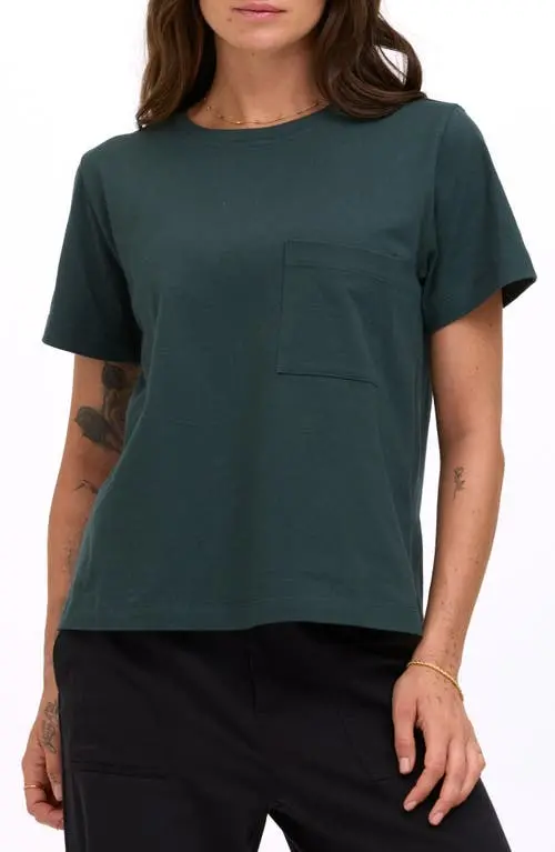 THREADS 4 THOUGHT Beth Essential Organic Cotton T-shirt - Alpine