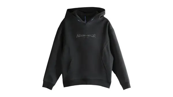 ADER ERROR Logo Loose Hoodie