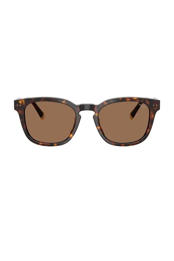 Polo Ralph Lauren Square Sunglasses - Brown