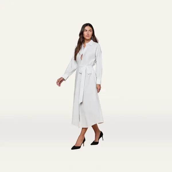 L'Agence Ridley Shirt Dress
