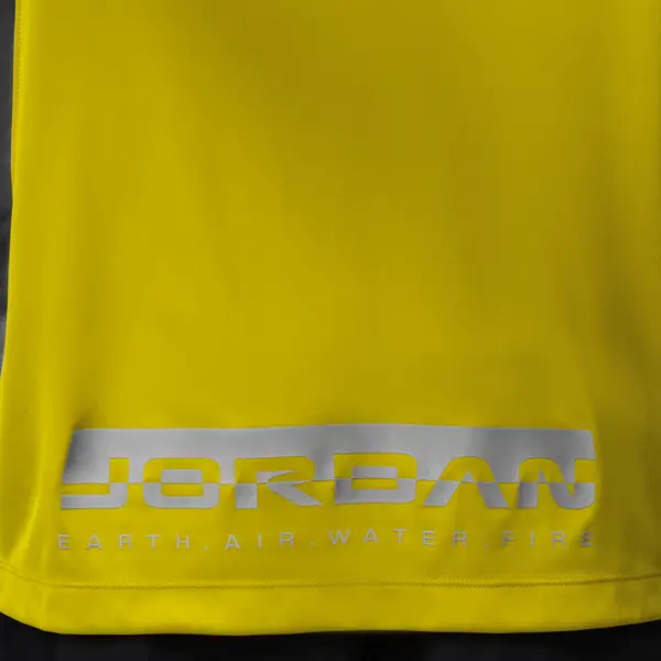 JORDAN Brooklyn Hike Mike Graphic Jersey