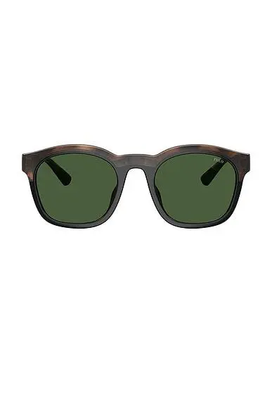 Polo Ralph Lauren Square Sunglasses - Brown