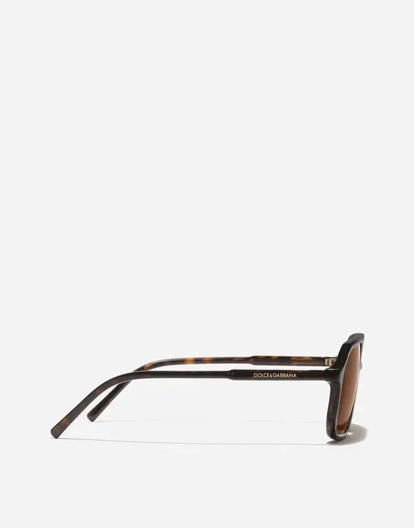 Dolce & Gabbana Everyday Sunglasses - Brown