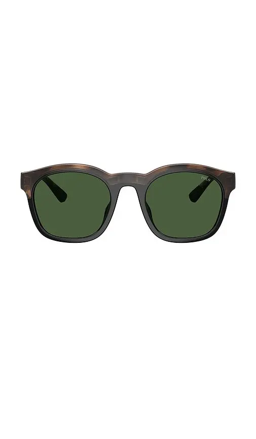 Polo Ralph Lauren Square Sunglasses - Brown
