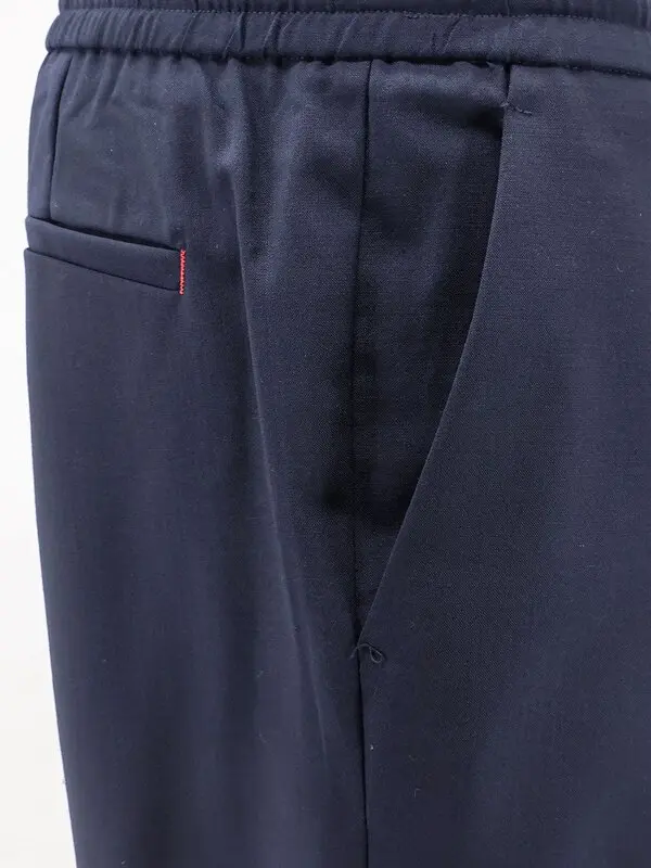 AMARANTO Virgin Wool Blend Trousers - Blue