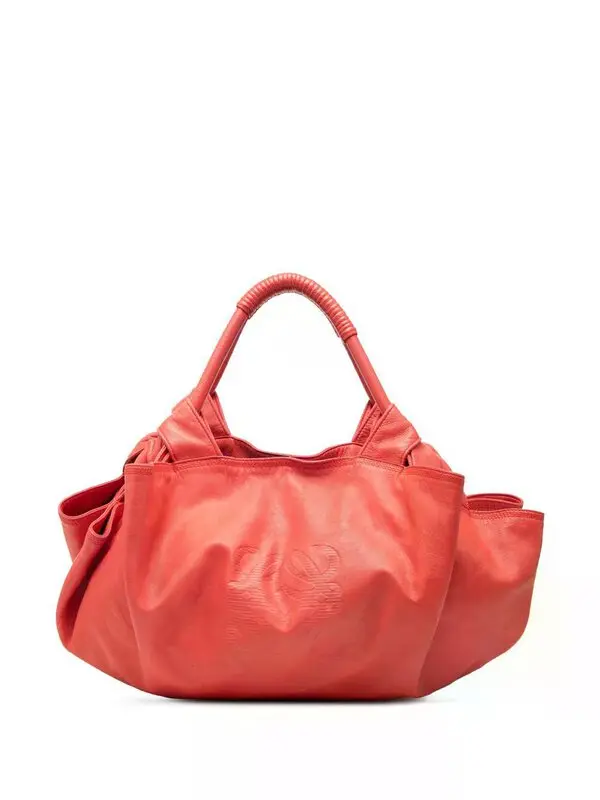 Loewe 2007 Nappa Aire Hobo Bag