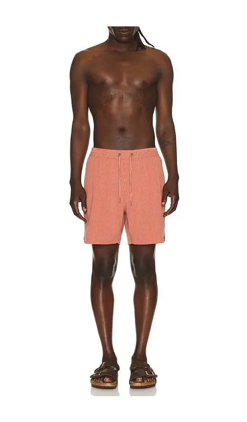 Marine Layer 6 Lined Sport & Swim Short