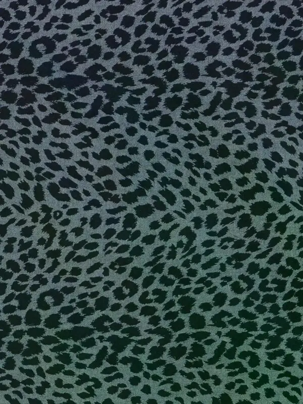 Aspesi Leopard-pattern Scarf