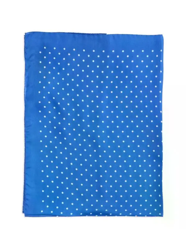 Destin Polka Dot Scarf - Blue