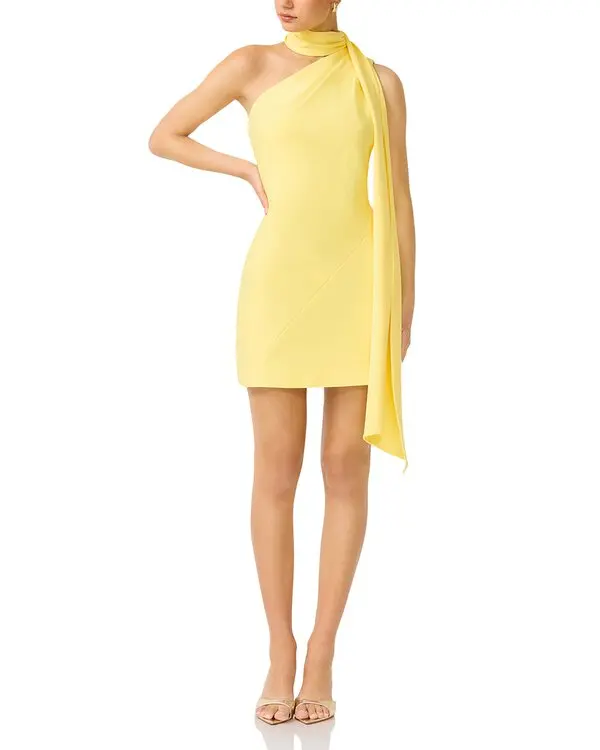 ELLIATT Sloan Mini Dress