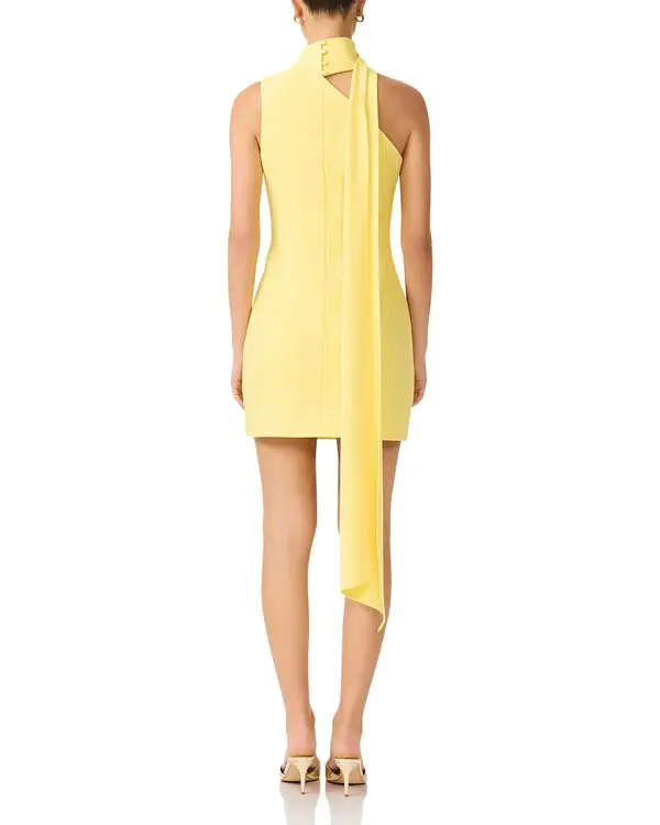 ELLIATT Sloan Mini Dress