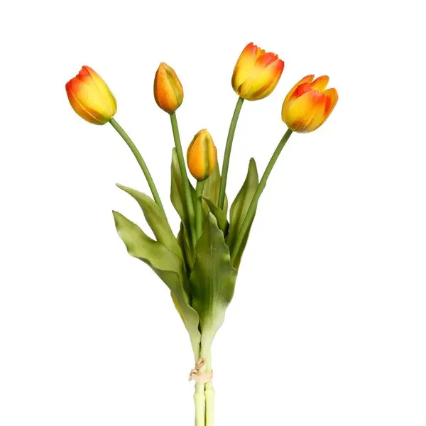 MARK ROBERTS Blooming Tulip Bunch, 6 Bunches