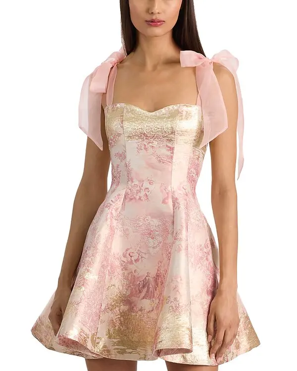 Alice + Olivia Full Flare Mini Dress - English Rose Tolie