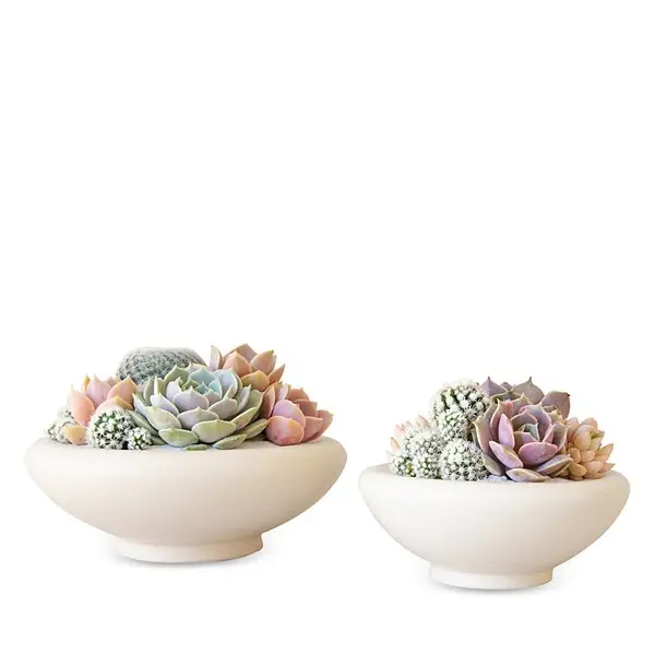 JUNGLE CLUB Birdie Bowl - White