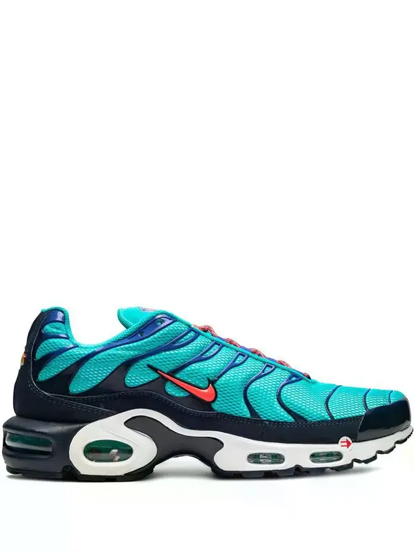 Nike Air Max Plus Sneakers - Blue