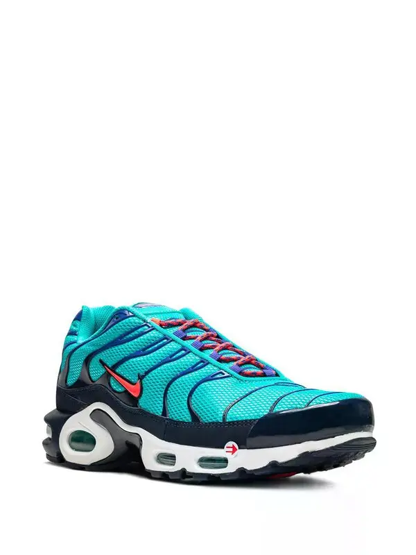 Nike Air Max Plus Sneakers - Blue