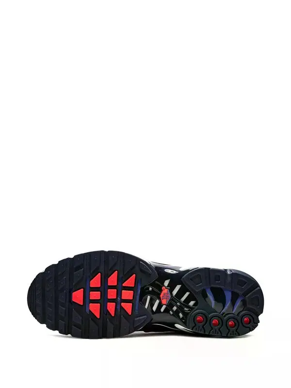 Nike Air Max Plus Sneakers - Blue