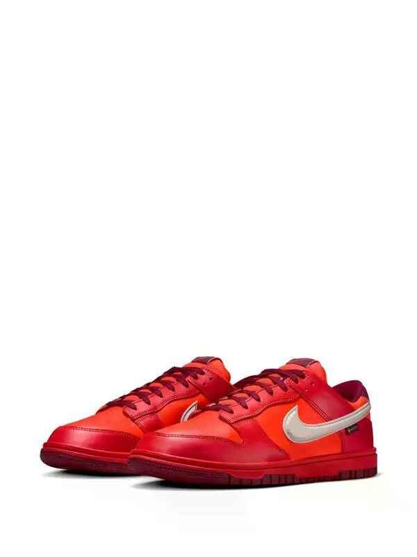 Nike Gore-tex Low Sneakers