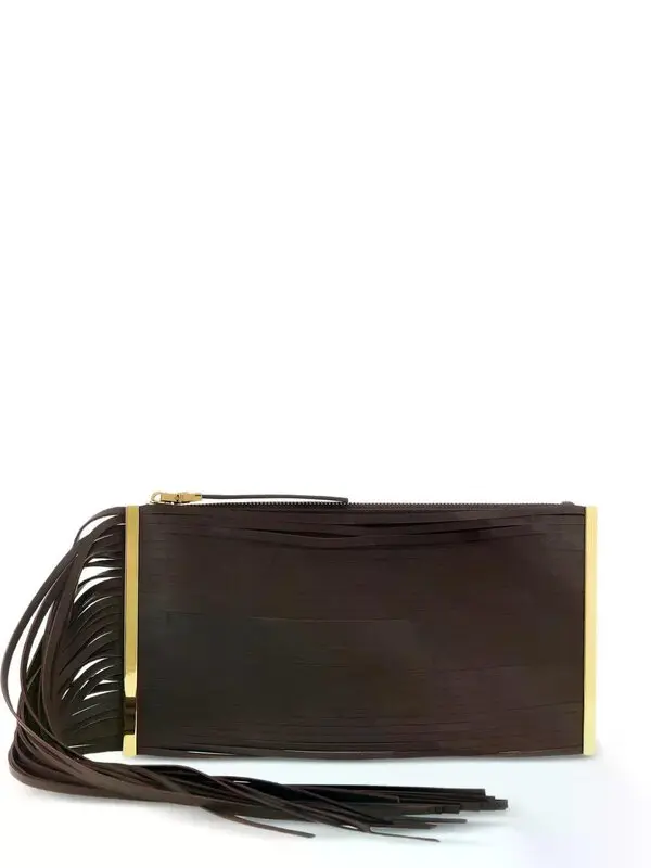 Elisabetta Franchi Leather Clutch With Fringes And Chain Strap - Brown