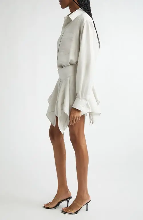 Alexander Wang Long Sleeve Silk Shirtdress