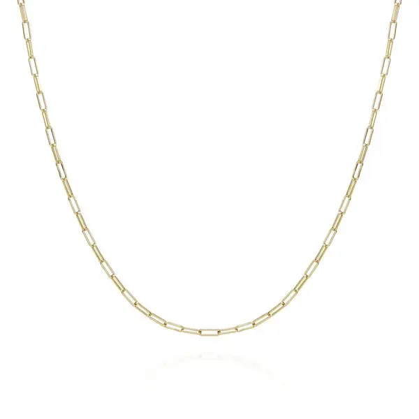 Vince Camuto Goldtone Paper Clip Link Chain Necklace - Gold Tone