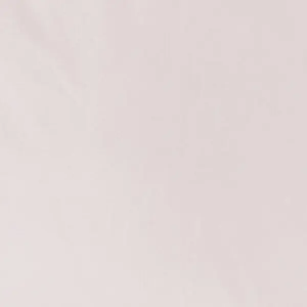 Harrods Dust Mite Pillowcase Protector Pair