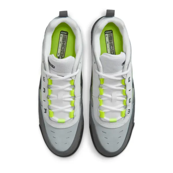 Nike Air Max Ishod Skate Shoes - Black