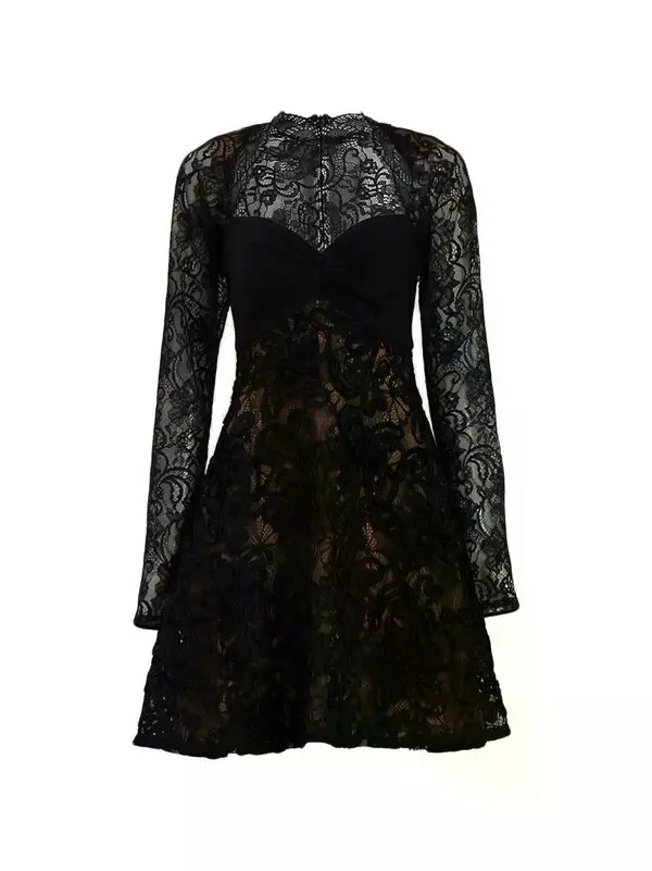 Tadashi Shoji Sayda Lace Appliqué Dress