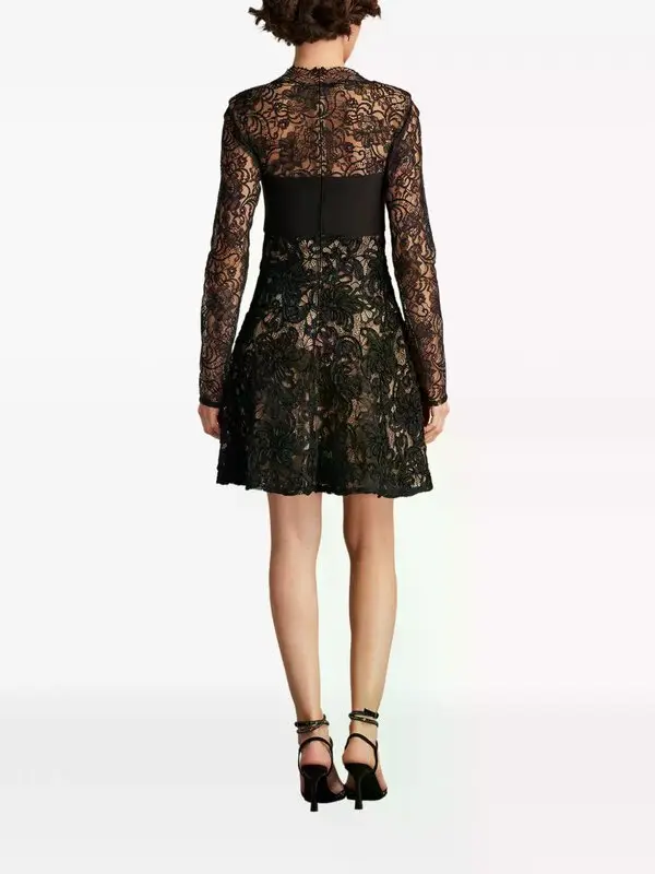 Tadashi Shoji Sayda Lace Appliqué Dress