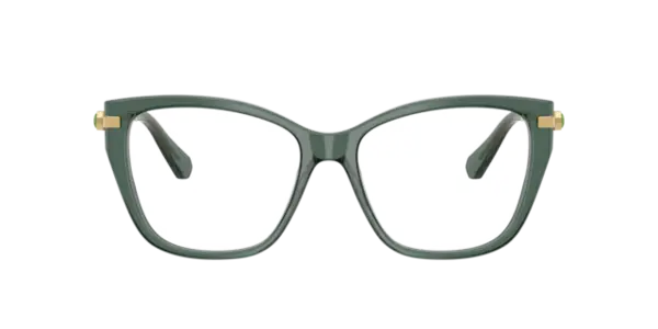 SWAROVSKI Cat-eye Eyeglasses - Transparent Light Green