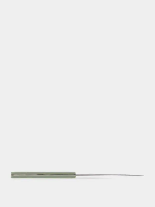 Sabre Paris Asparagus Dinner Knife