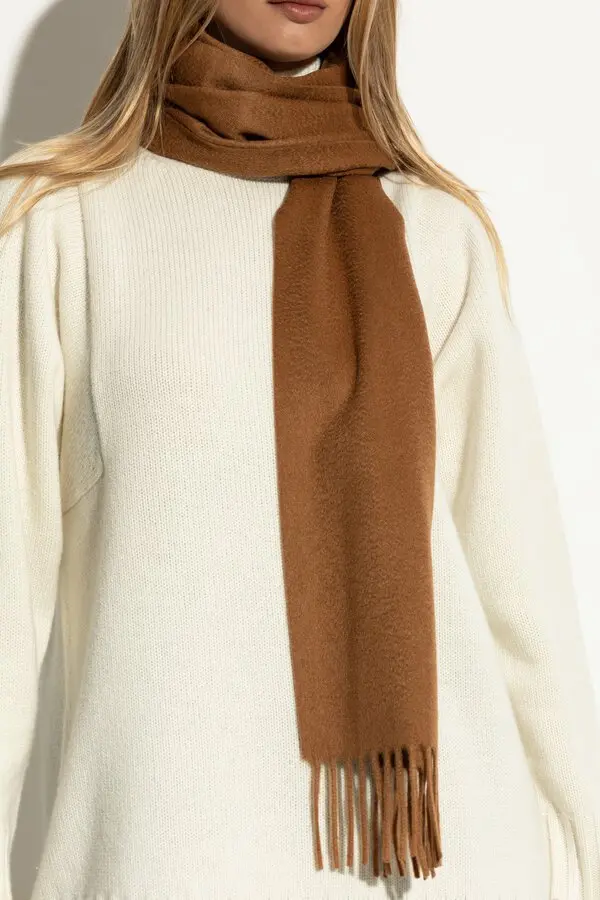 Max Mara Cashmere Scarf - Brown