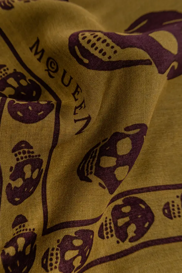 Alexander McQueen Scarf With A Distinctive Skull Motif - Brown
