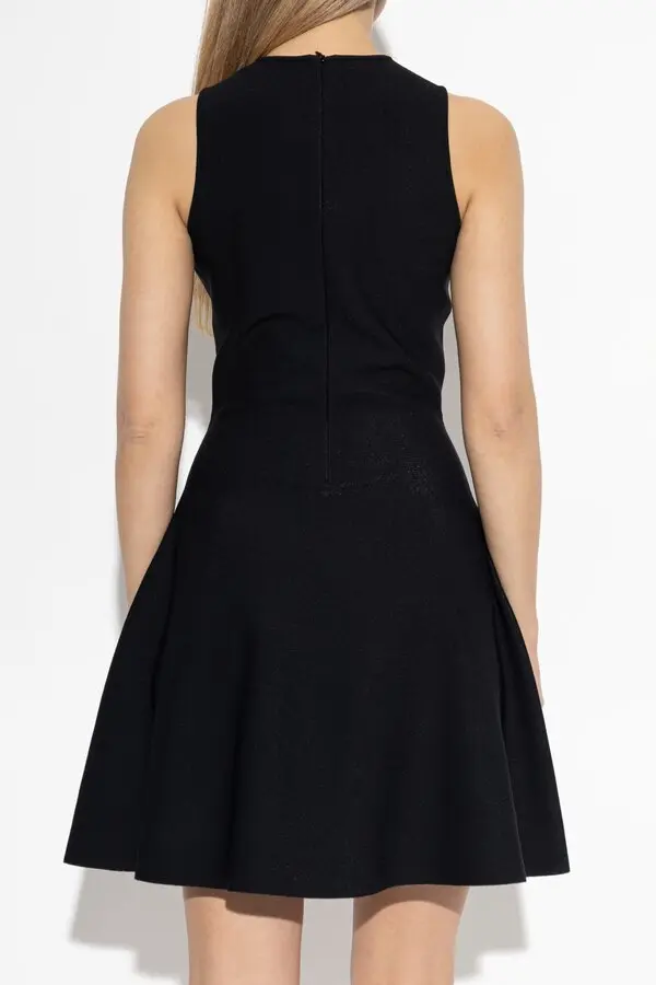 Alexander McQueen Fit & Flare Dress With Embroidery