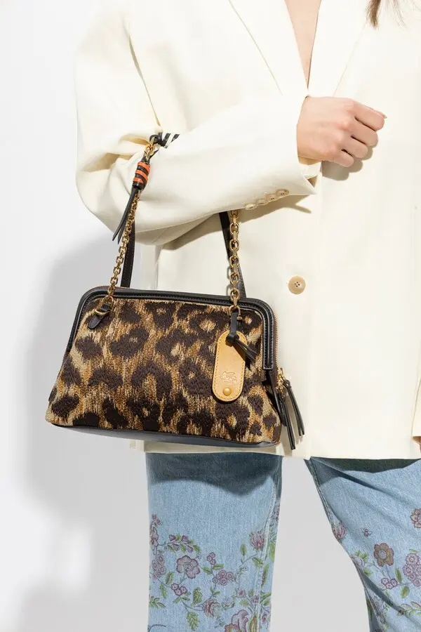 Etro Doctor Small Shoulder Bag - Brown