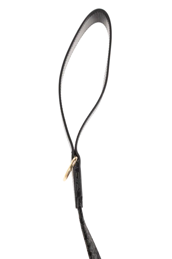 Versace Dog Leash With Barocco Print