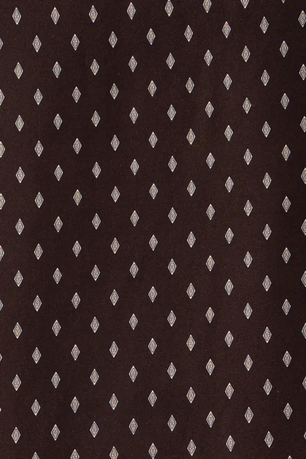 FERRAGAMO Silk Scarf With Fringes - Brown