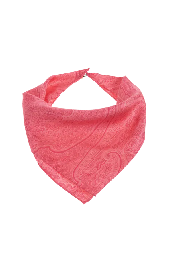 Etro Silk Scarf - Pink