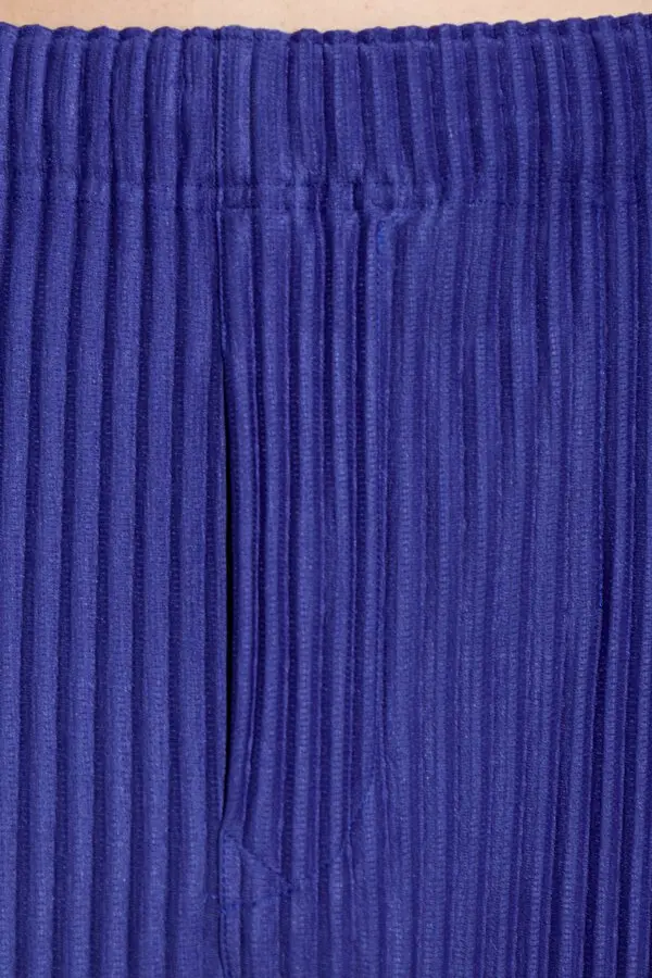 Issey Miyake Pleated Trousers